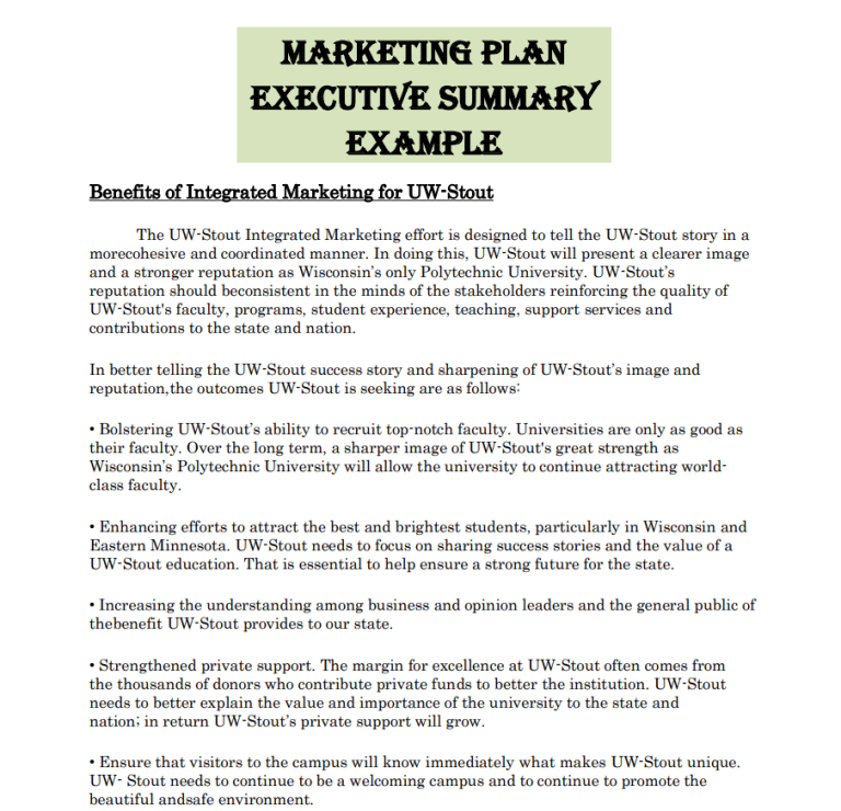 Top 6 Marketing Plan Executive Summary Examples PDF