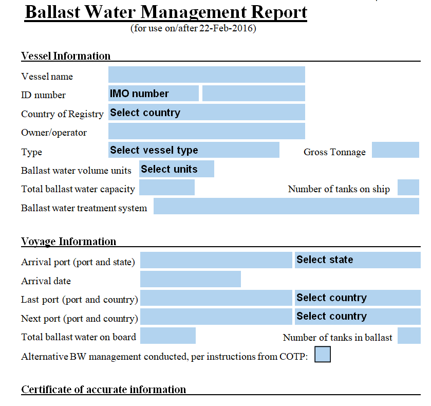 12 BEST Management Report Word Templates + How to Write One