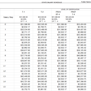 12 Professional Salary Schedule Templates [EXCEL & PDF]
