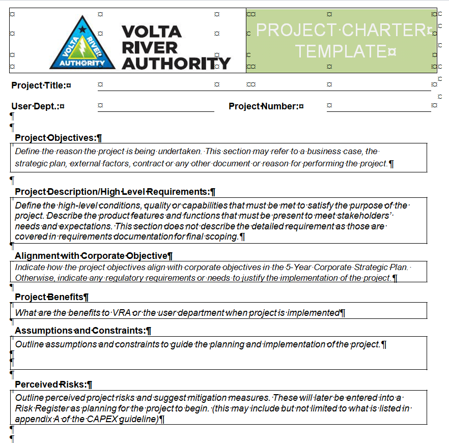 21+ Excellent Project Charter Templates