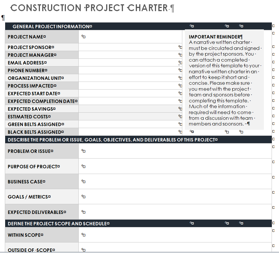 21+ Excellent Project Charter Templates
