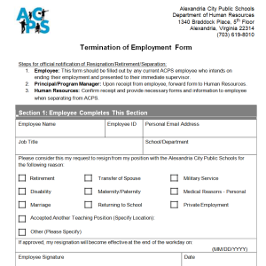12+ Simple Employee Termination Form Word Templates