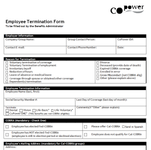 12+ Simple Employee Termination Form Word Templates