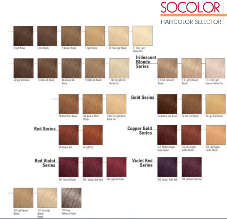 7+ FREE Printable Hair Color Chart Templates PDF
