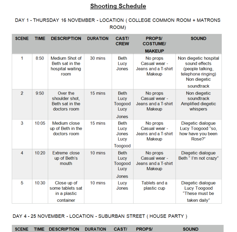 12+ Editable Shooting Schedule Templates in MS WORD