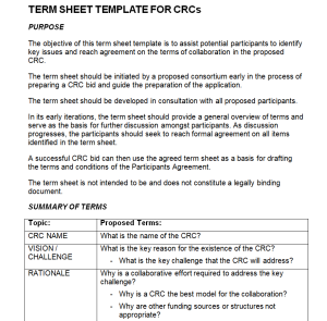 Download Top 25 Term Sheet Templates in MS WORD