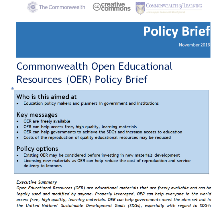 12+ Sample Policy Brief Templates in MS WORD